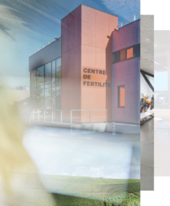 Le Centre - Centre GAIA - Centre de la Femme